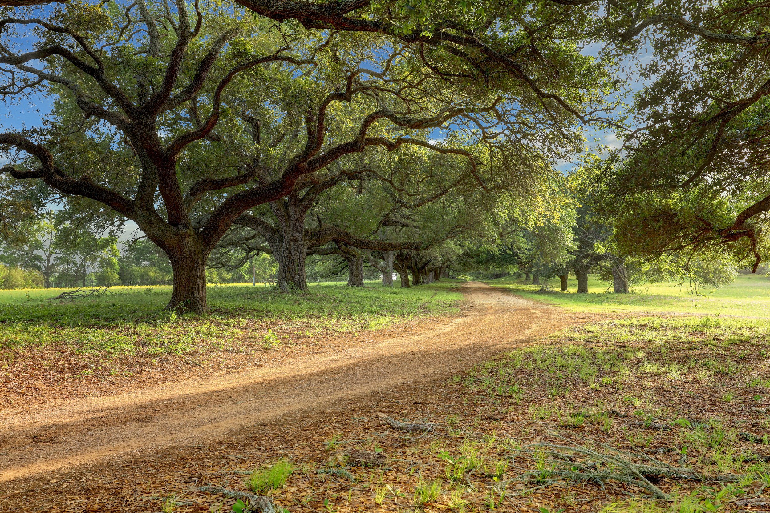 Take a Look at Our Beautiful Communities